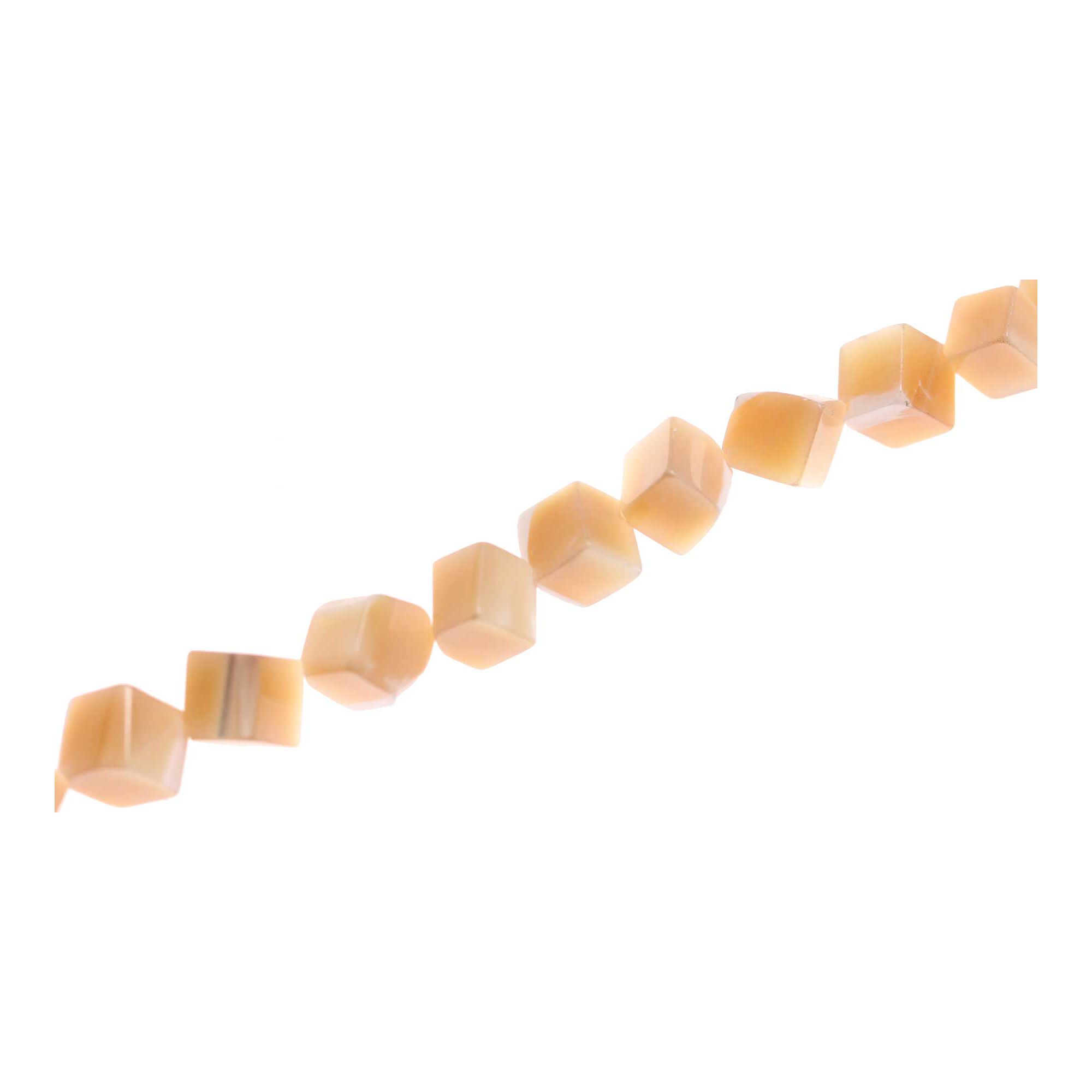 Shell troca dice / 12mm - Natural Jewelry B2B: Wood, Shell, Stone | F